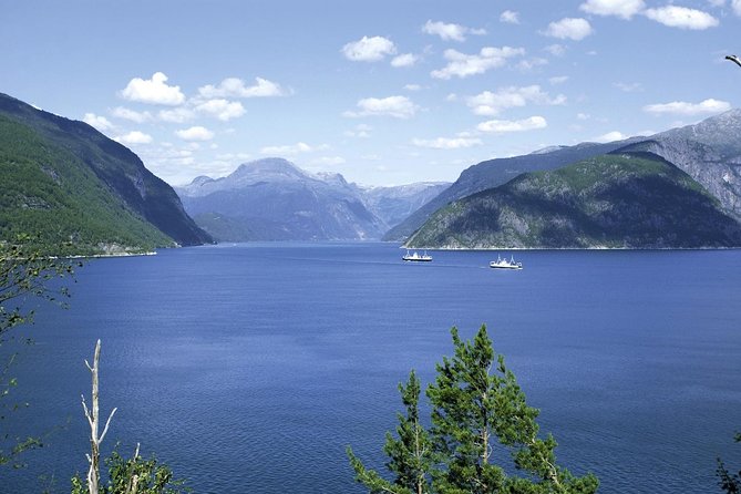 Bergen: Private Full-Day Roundtrip to Hardangerfjord With Cruise - Marveling at Vøringfossen Waterfall