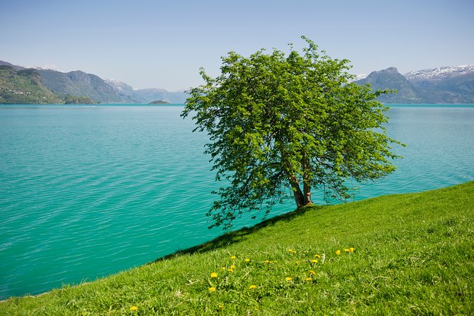 Bergen: Self-Guided Roundtrip (Sognefjord Cruise 5h & Flamsbana) - Real Traveler Feedback: Authentic Insights