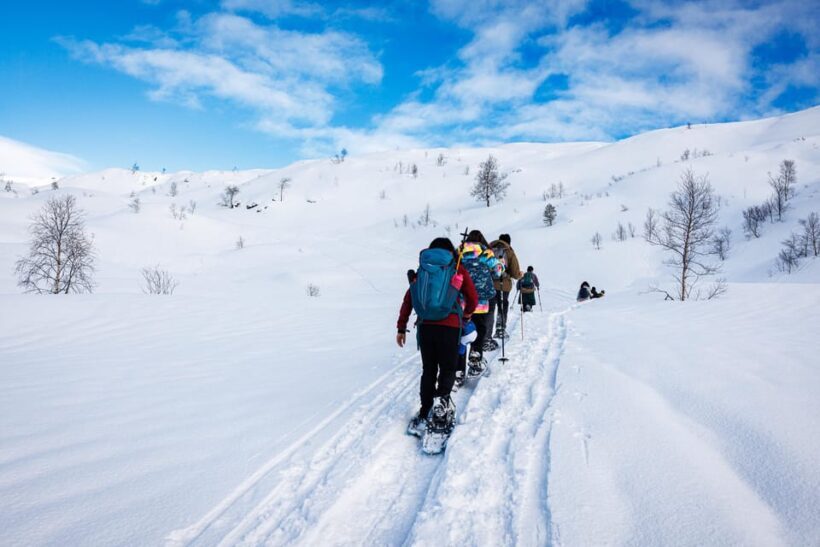 Bergen: Snowshoe Hike - Public Tour - Detailed Itinerary Analysis