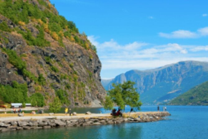 Bergen to Flam The King of Fjords One-Way or Round-Trip Cruise Ticket - Amenities and Onboard Services
