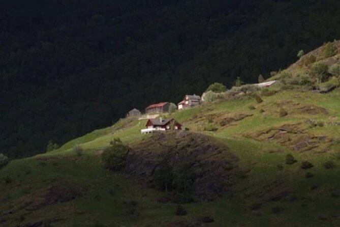 Bergen to Flam The King of Fjords One-Way or Round-Trip Cruise Ticket - Travel Tips for a Memorable Journey