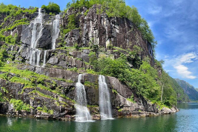 Bergen to Hardangerfjord VIP car + private yacht Fjord cruise - Lunch Options: Local Flavors and Cider Tasting