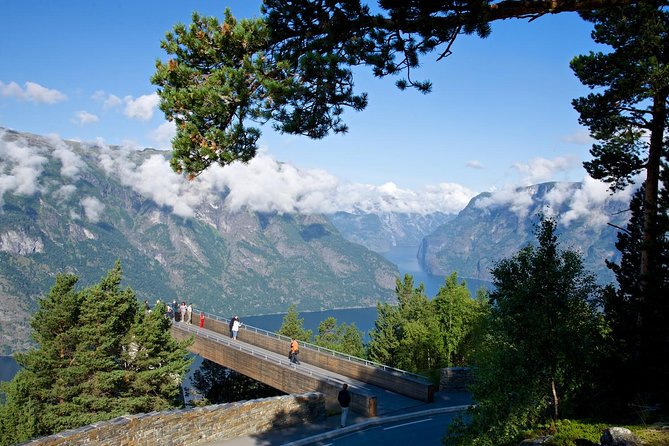 Bergen to Sognefjord Private Roudtrip With Cruise and Flasmbana - Tour Experience