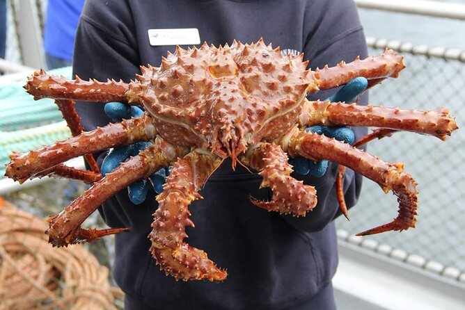 Bering Sea Crab Fisherman's Tour from Ketchikan - Who Will Love This Tour?