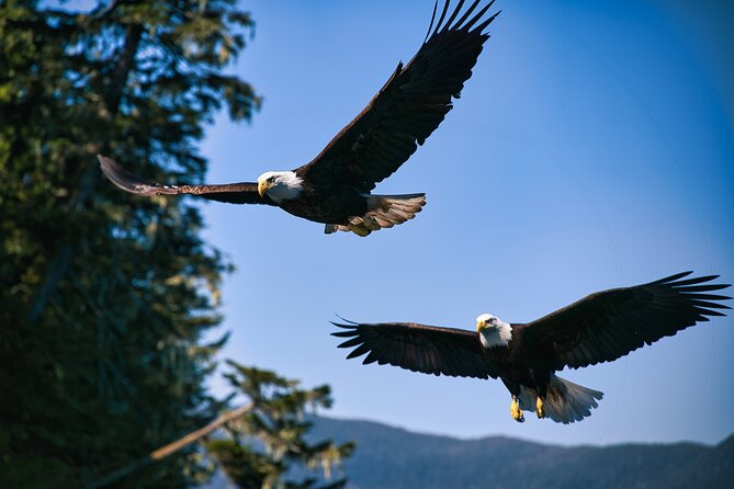 Bering Sea Crab Fisherman's Tour from Ketchikan - The Value of This Experience