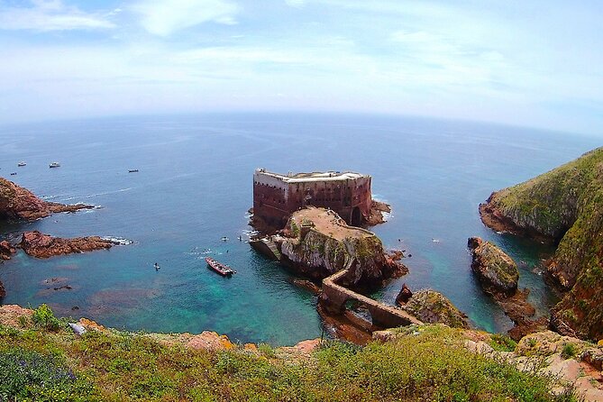 Berlengas Island Catamaran Tour - Round Trip - Itinerary and Activities