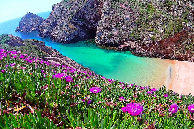 Berlengas Island Catamaran Tour - Round Trip - Inclusions and Meeting Details