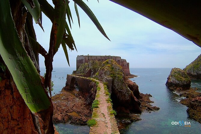 Berlengas Island Catamaran Tour - Round Trip - Experience Requirements and Limitations