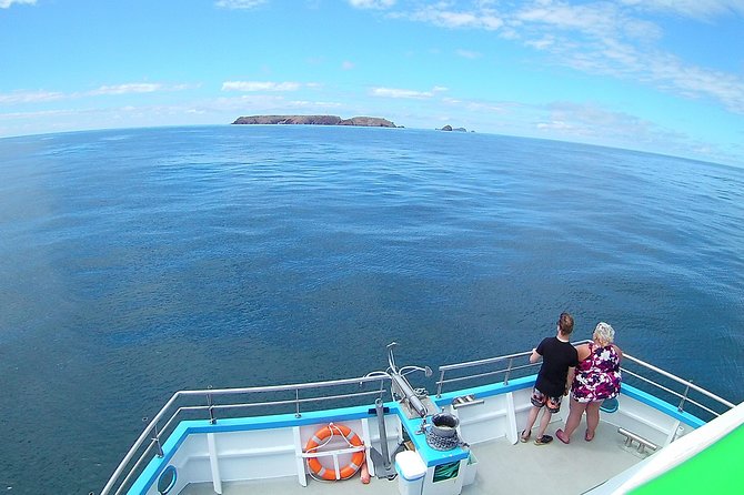 Berlengas Island Catamaran Tour - Round Trip - Customer Feedback and Insights