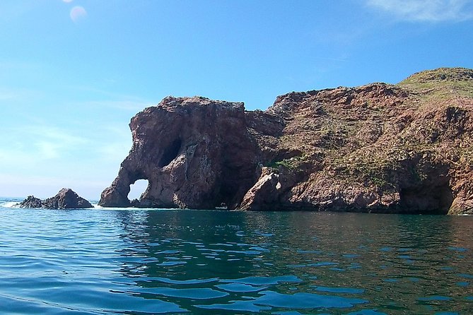 Berlengas Island Catamaran Tour - Round Trip - Tips for a Great Experience