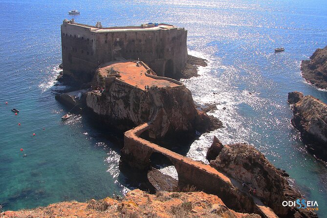 Berlengas Island Catamaran Tour - Round Trip - Since You Asked