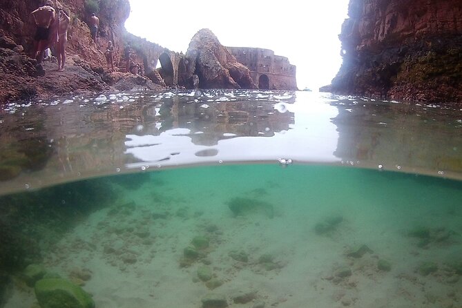 Berlengas Island Catamaran Tour + Snorkeling - Authentic Experiences and Traveler Insights