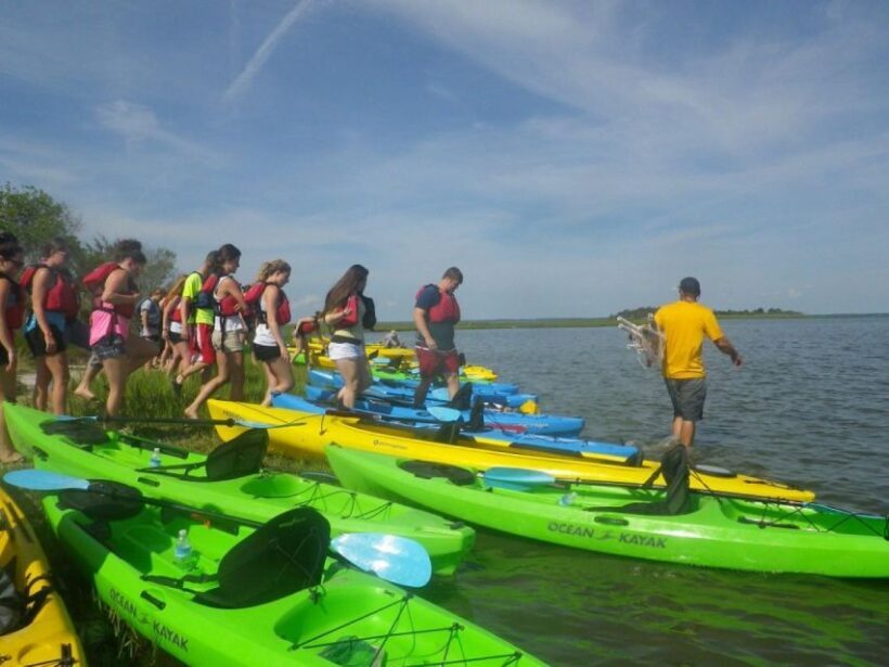 Berlin: Assateague Island Wildlife Discovery Kayak Tour - Key Points