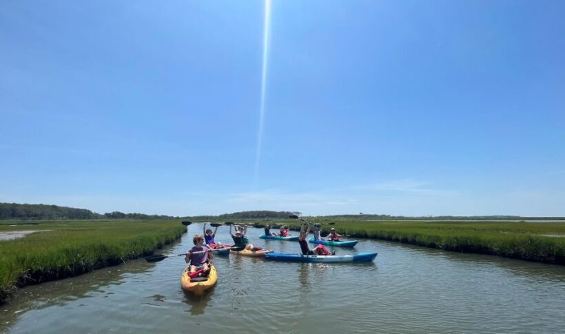 Berlin: Assateague Island Wildlife Discovery Kayak Tour - A Deep Dive into the Experience