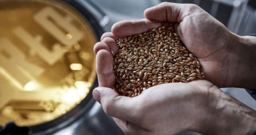 Berlin: BRLO BRWHOUSE Tour and Craft Beer Tasting - FAQs