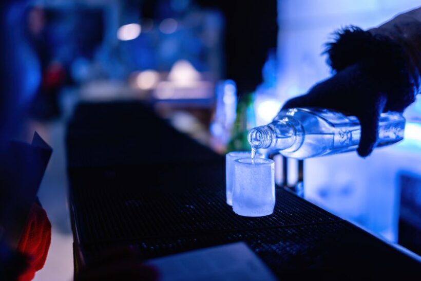 Berlin: Hop-On Hop-Off Bus and Icebar Ticket Combo - Who Will Enjoy This Tour?