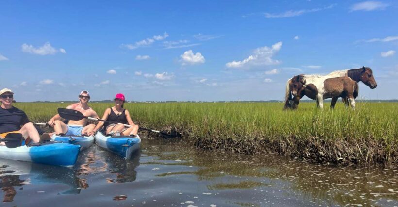Berlin, MD: Full-, Half, or Quarter-Day Kayak Rental - Who Should Consider This Experience?