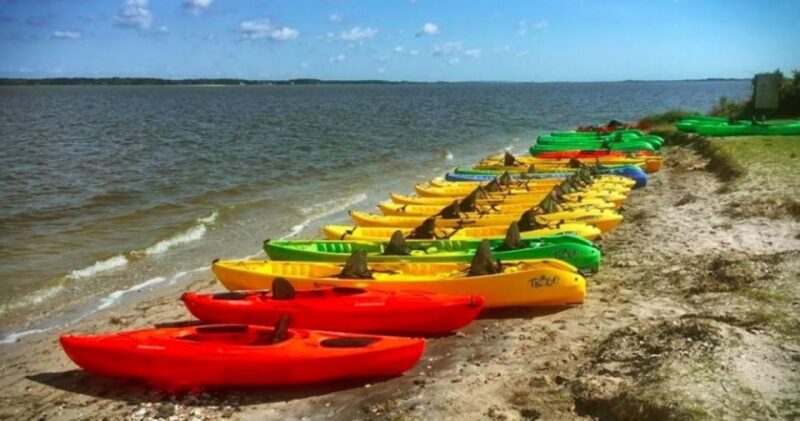 Berlin, MD: Full-, Half, or Quarter-Day Kayak Rental - Exploring Maryland’s Assateague Waterways