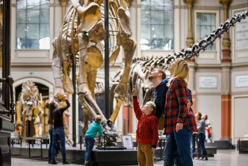 Berlin: Natural History Museum Entrance Ticket - Final Thoughts: Is It Worth Your Time?