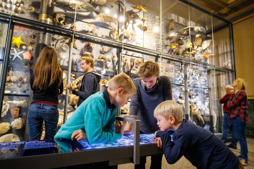 Berlin: Natural History Museum Entrance Ticket - FAQs