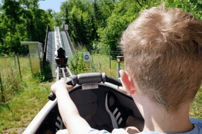 Berlin: Nature Bobsled Run Ticket - The Ride in Detail