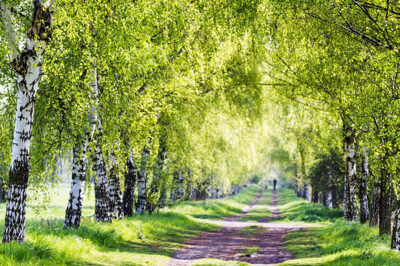 Berlin: Photo course Landschafts- & Naturfotografie - Key Points
