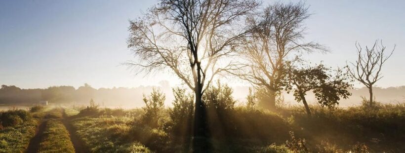 Berlin: Photo course Landschafts- & Naturfotografie - An In-Depth Look at the Experience