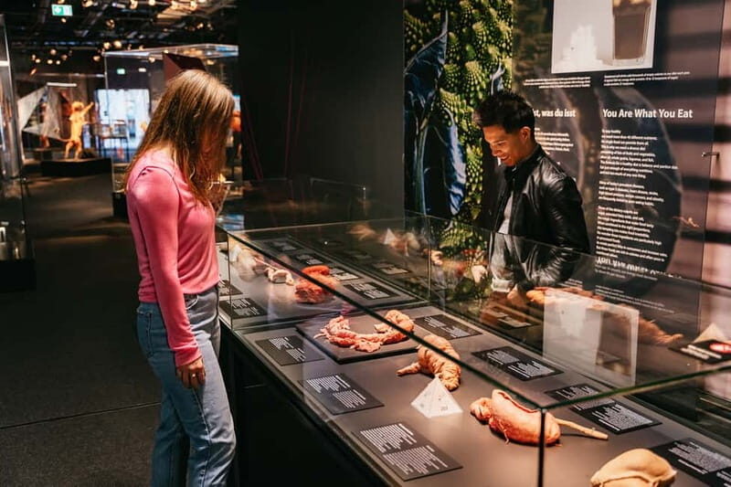 Berlin: Tickets for the BODY WORLDS Museum in Berlin - An In-Depth Look at the Experience