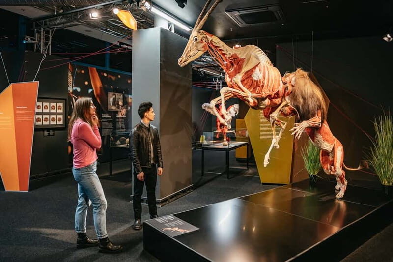 Berlin: Tickets for the BODY WORLDS Museum in Berlin - Practical Tips for Visiting