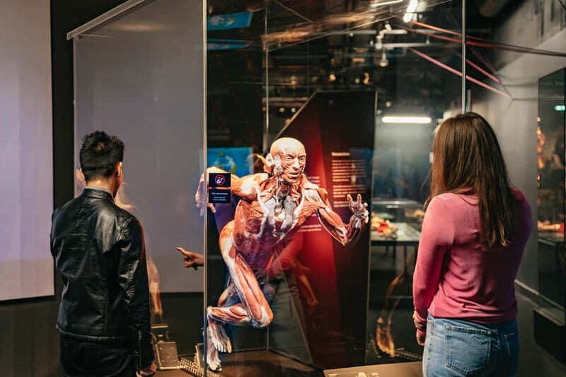 Berlin: Tickets for the BODY WORLDS Museum in Berlin - Summary