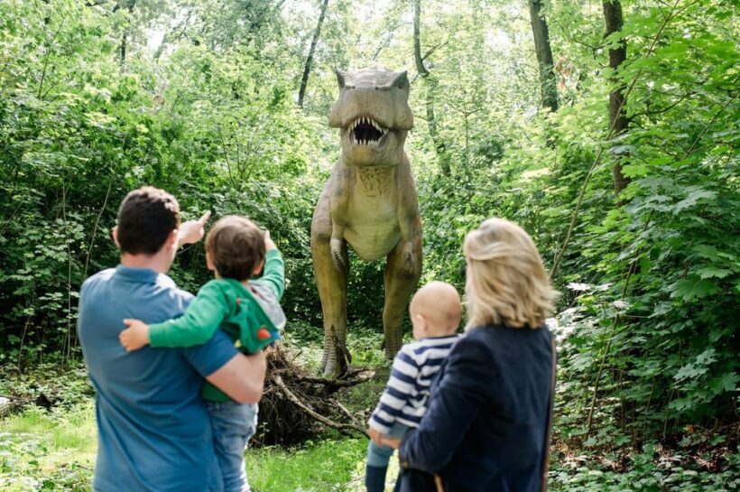 Berlin: Tickets for the Tierpark in East Berlin - FAQ