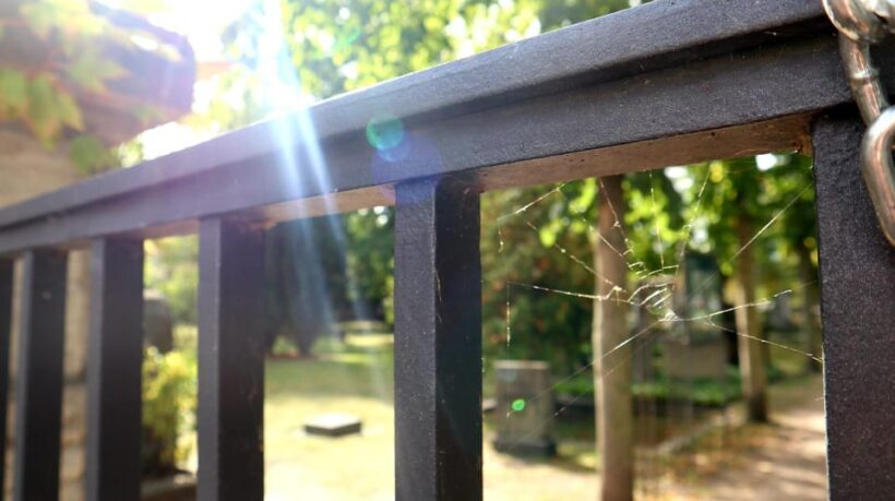 Berlin: Tour through the Invalids' Cemetery - The Sum Up: Is It Worth It?