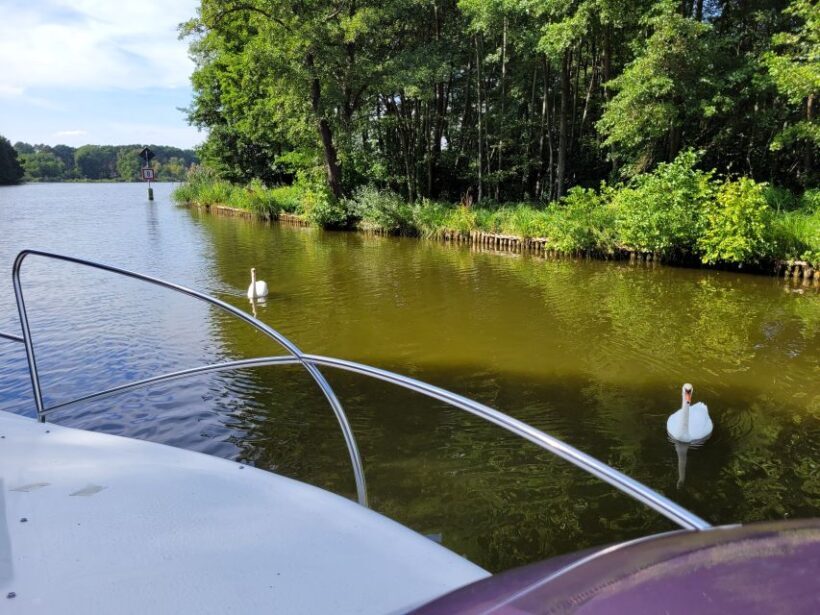 Berlin:Guided South Berlin Yacht Tour with Swim Stop (relax) - Final Thoughts