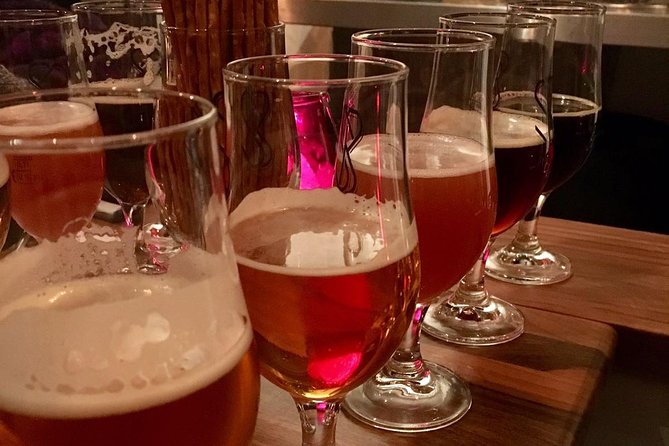 Berlin's first original craft beer tour & experience - Who Should Book This Tour?