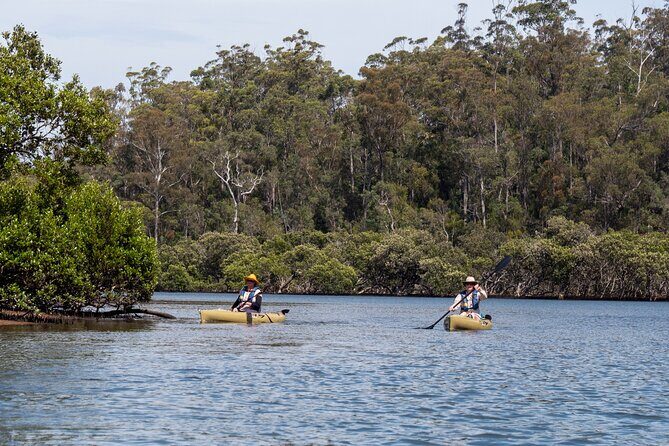 Bermagui River Kayak Tour - Why the Guides Make a Difference