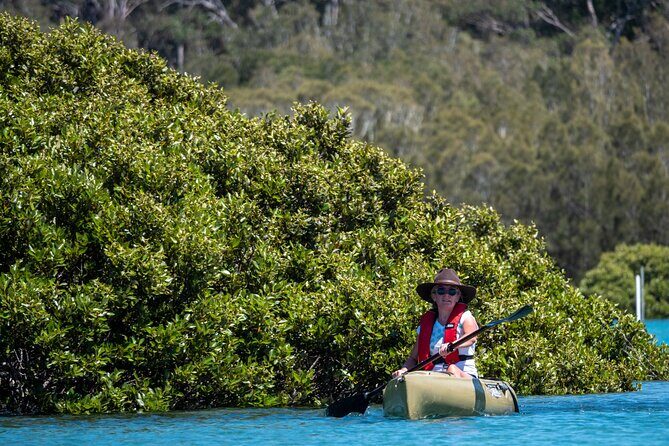 Bermagui River Kayak Tour - Pricing and Value for Money