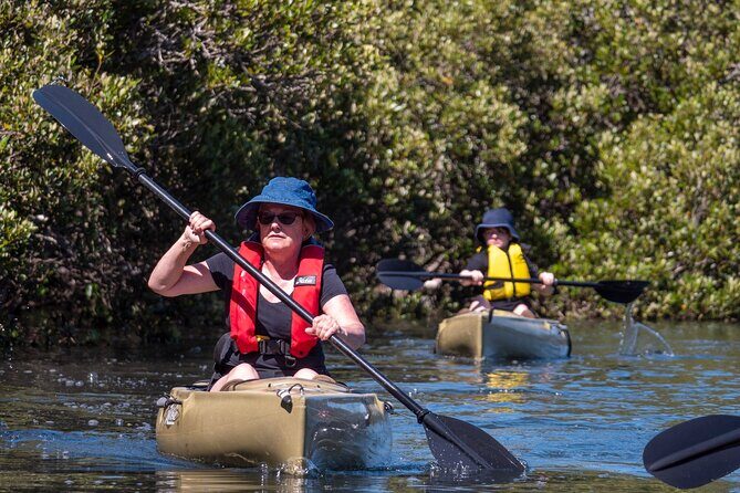 Bermagui River Kayak Tour - Practical Tips for Participants