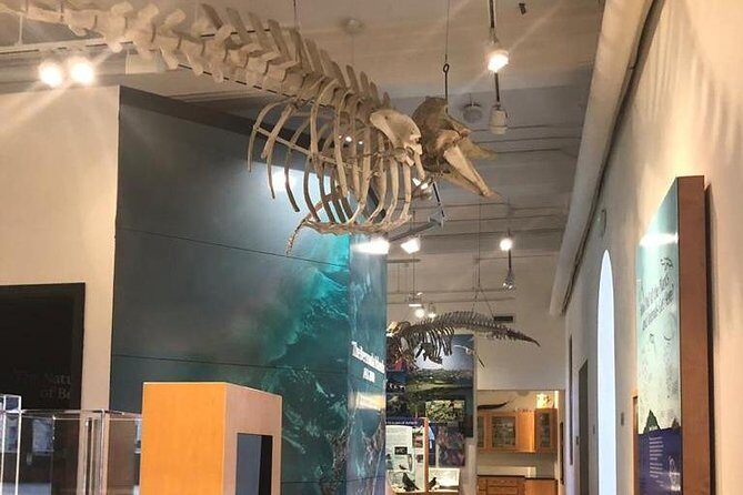 Bermuda Aquarium and Crystal Caves Admission - Practical Details and Tips