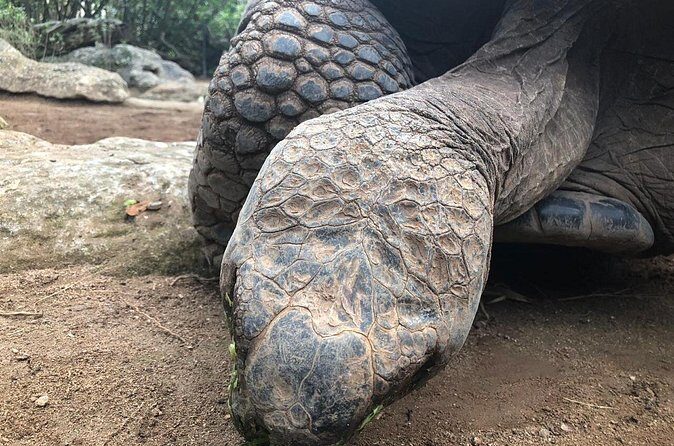 Bermuda Aquarium and Crystal Caves Admission - FAQ