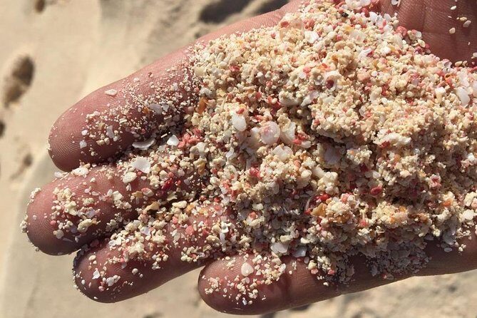 Bermuda Gems and Private Resort Beach Day Experience - Key Points: