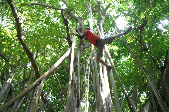 Bermuda Hidden Gems Half-Day Winter Excursion - FAQs