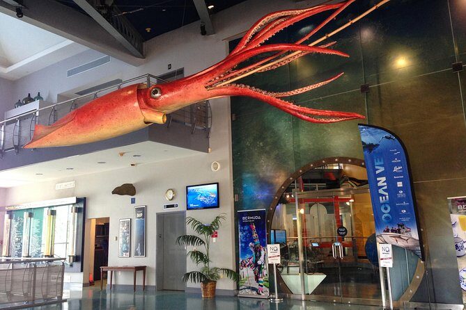 Bermuda Underwater Exploration Institute and Aquarium Adventure Day - Key Points