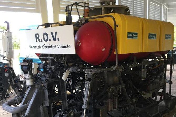 Bermuda Underwater Exploration Institute and Aquarium Adventure Day - The Sum Up