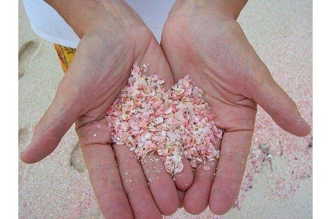 Bermudaful Island Beach Hop - Wrapping It Up: Is This Tour Worth It?