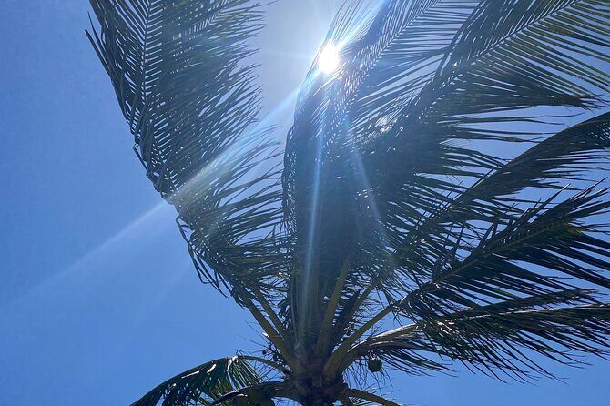 Bermudaful Island Tour - An In-Depth Look at the Bermudaful Island Tour