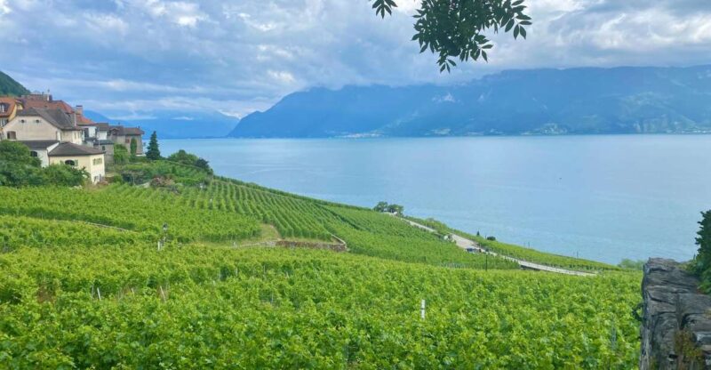 Bern: Gruyères & Lavaux Vineyard Day Trip With Cheese & Wine - Key Points