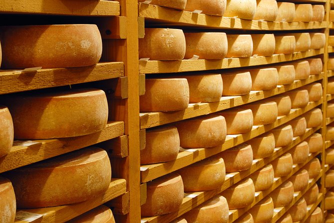 Berne the Capital and Cheese paradise Emmental (Private Tour) - Final Thoughts: Who Will Enjoy This Tour?