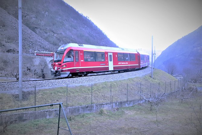 Bernina train and Swiss Alps. Departure from Desenzano - Who Is This Tour Best For?