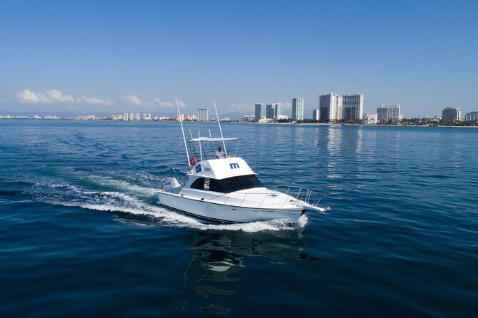 Bertram 38' Convertible Boat in Puerto & Nuevo Vallarta - The Practical Side: Pricing, Group Size, and Value