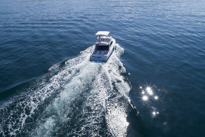 Bertram 38' Convertible Boat in Puerto & Nuevo Vallarta - The Cancellation and Booking Details
